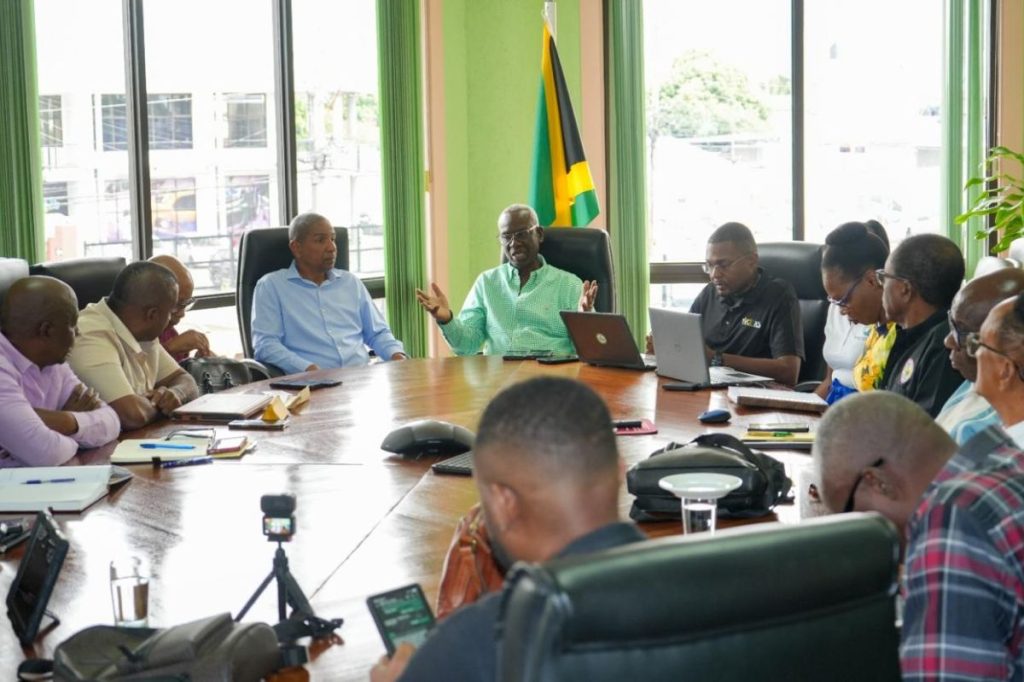 Consultations Continue on Establishment of One Road Authority ...